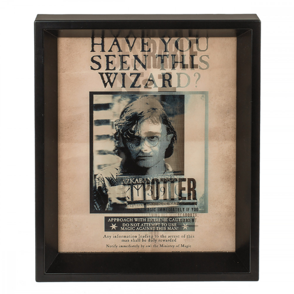 Poster Effet 3D Harry Potter Sirius Black - Décoration Magique ...