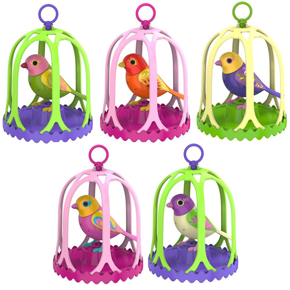 Oiseau Digibird et sa cage - 16,76