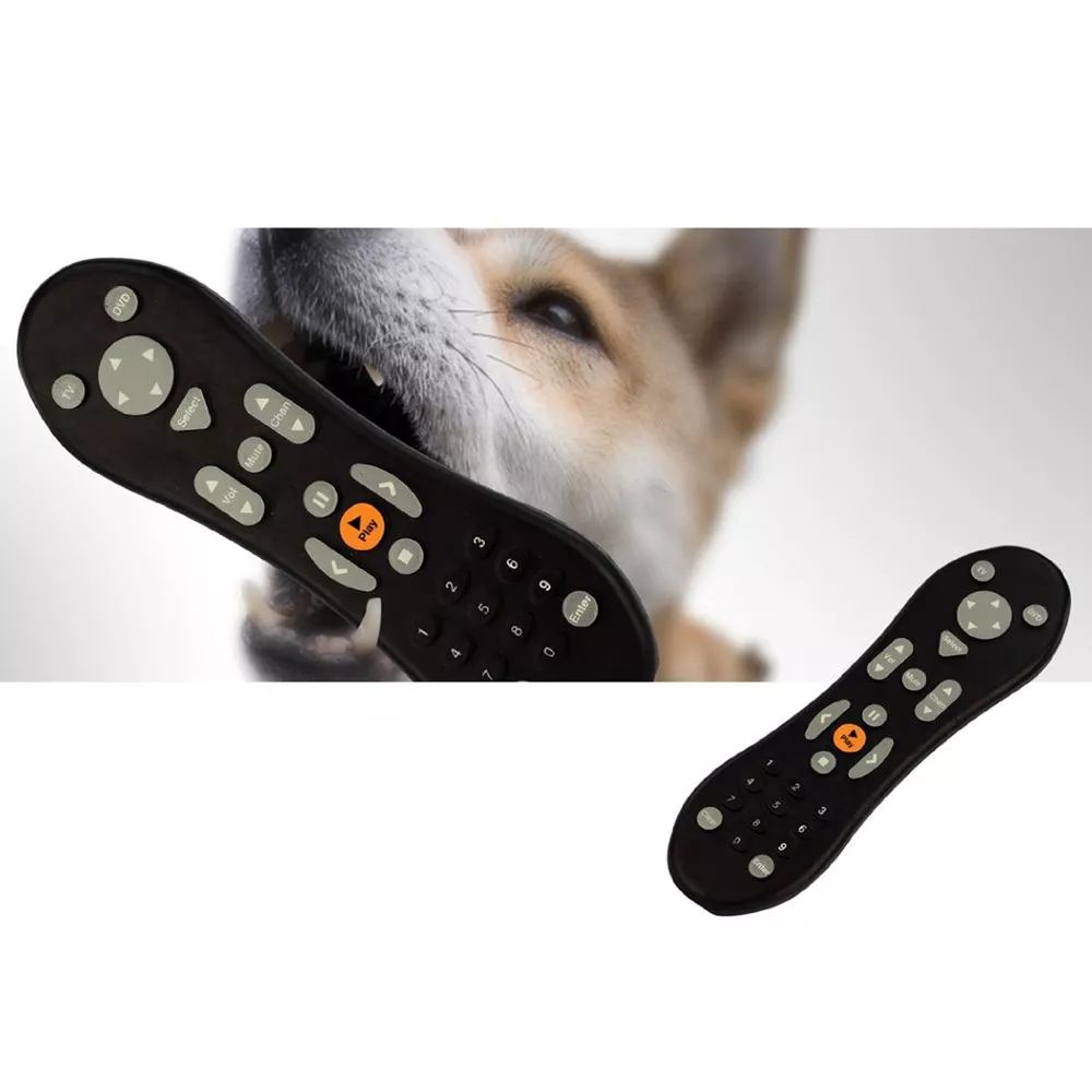 Télécommande jouet pour chien - 8,99